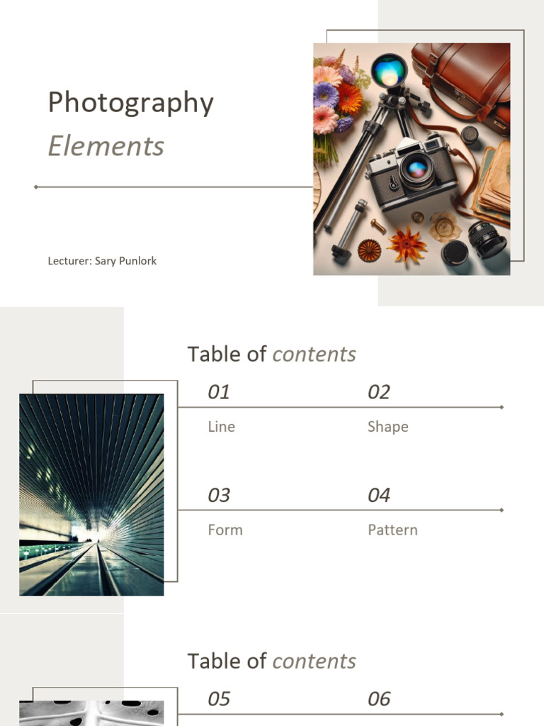 Essential Elements of Photography | PDF