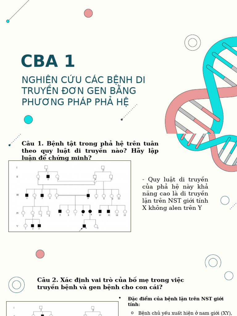 Cba1-2 3 | PDF