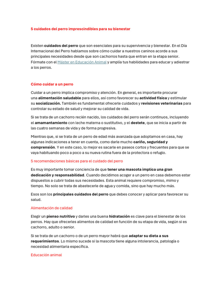 5 Cuidados Del Perro Imprescindibles para Su Bienestar | PDF | Perros