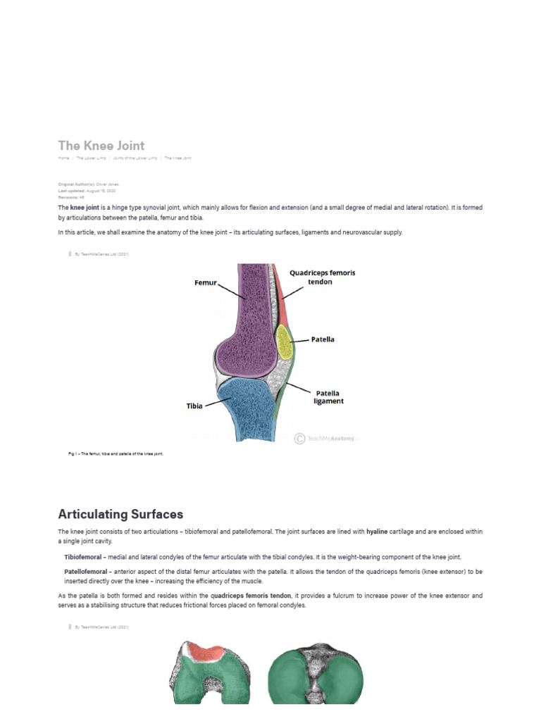 The Knee Joint - Articulations - Movements - Injuries - TeachMeAnatomy | PDF | Knee | Human Leg