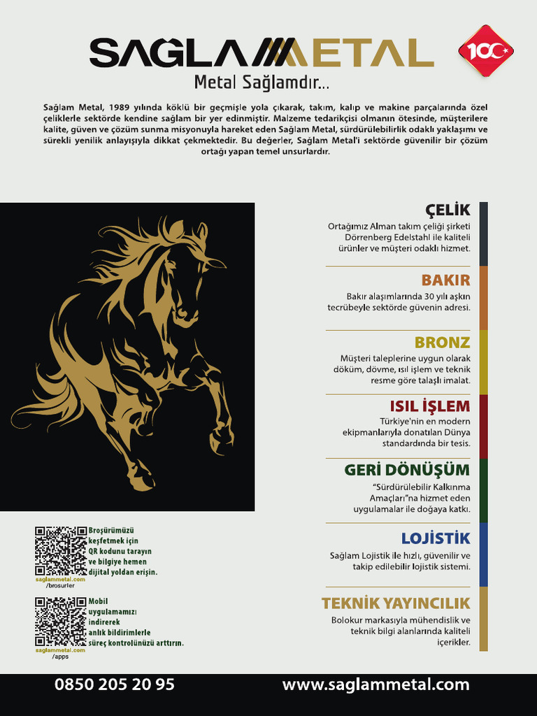 Saglam Metal Brosur | PDF