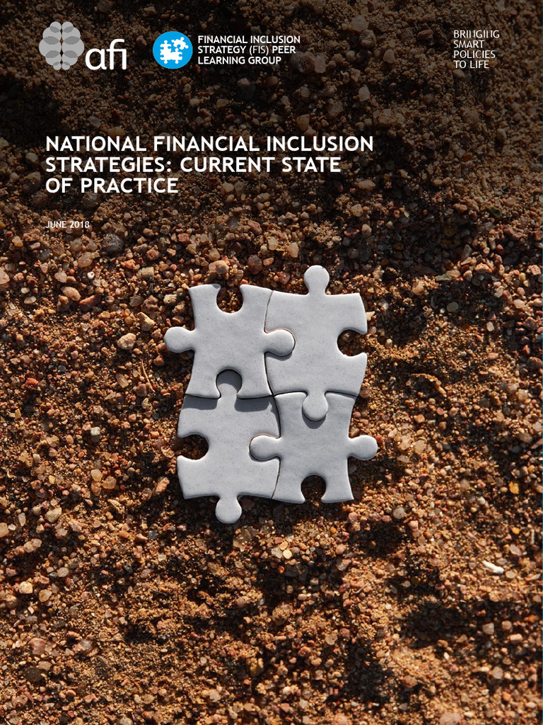 AFI-National Financial Inclusion Strategies | PDF | Financial Inclusion ...