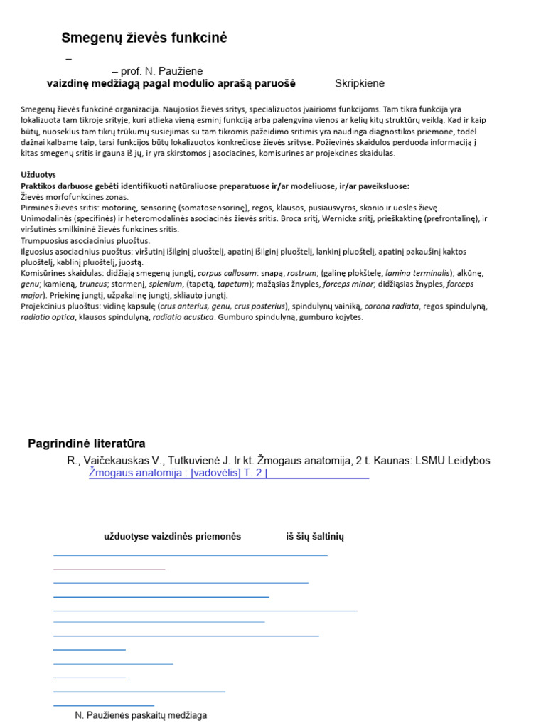 6.14 Smegenu Zieve 2023-24 | PDF