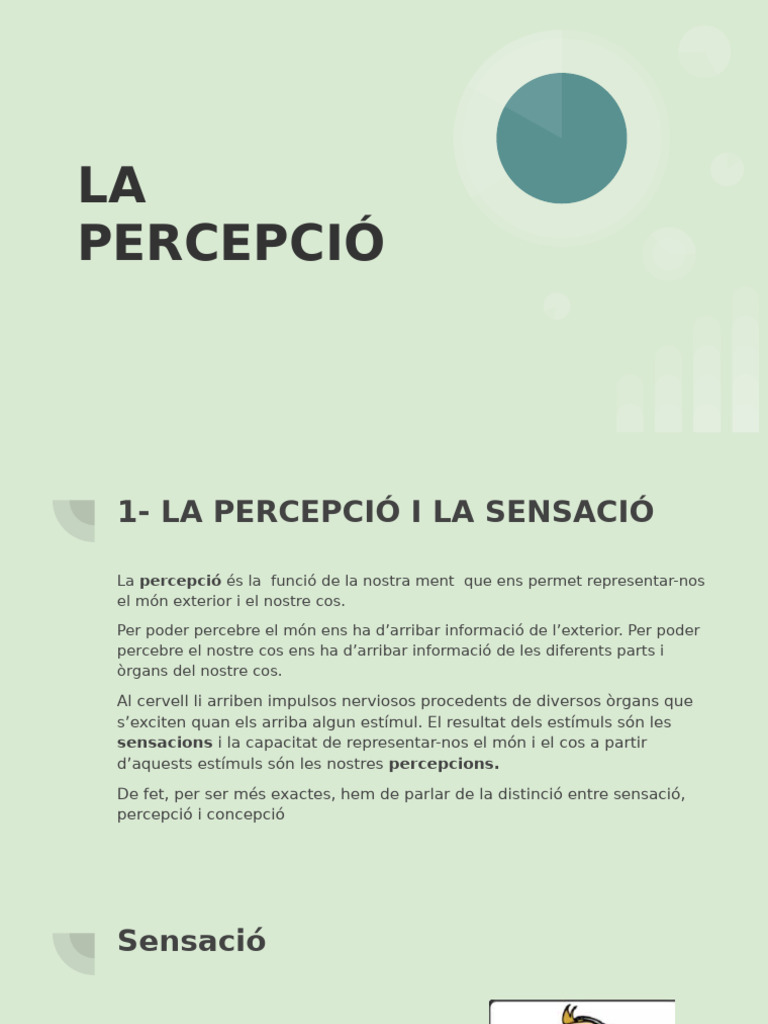 La Percepció | PDF