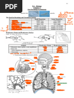 Bell Jar Model of Breathing Mechanics | PDF | Breathing | Lung