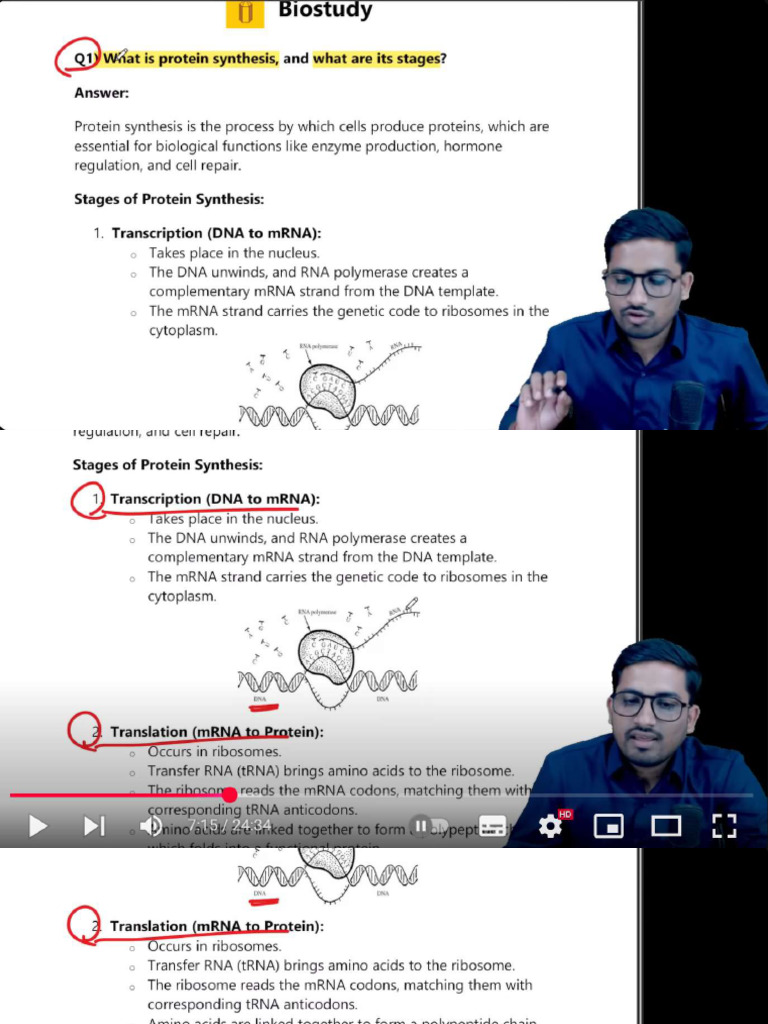 Bio Study 40 Imp Questions | PDF