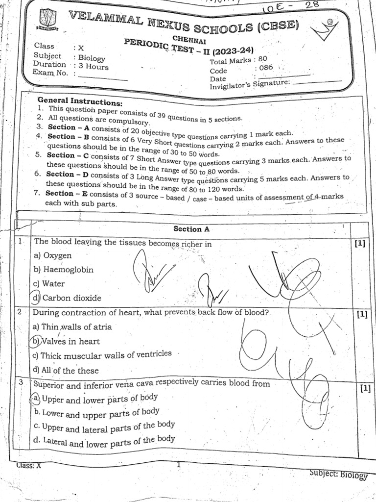 Periodic Test 2 Question Papers | PDF
