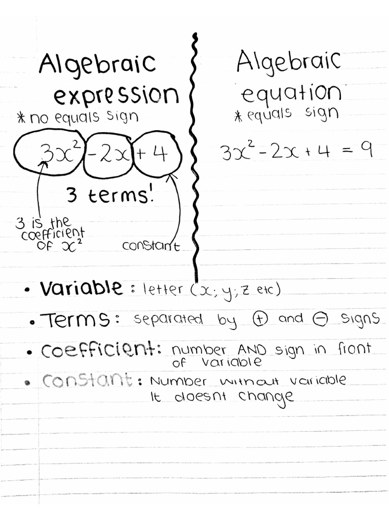 Algebraic Expression Vs Equation | PDF