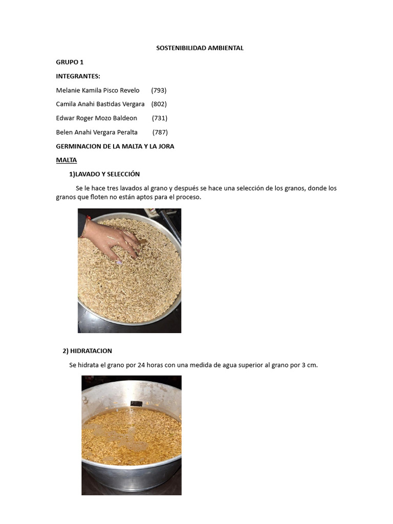 Grupo1 INFORME1 | PDF