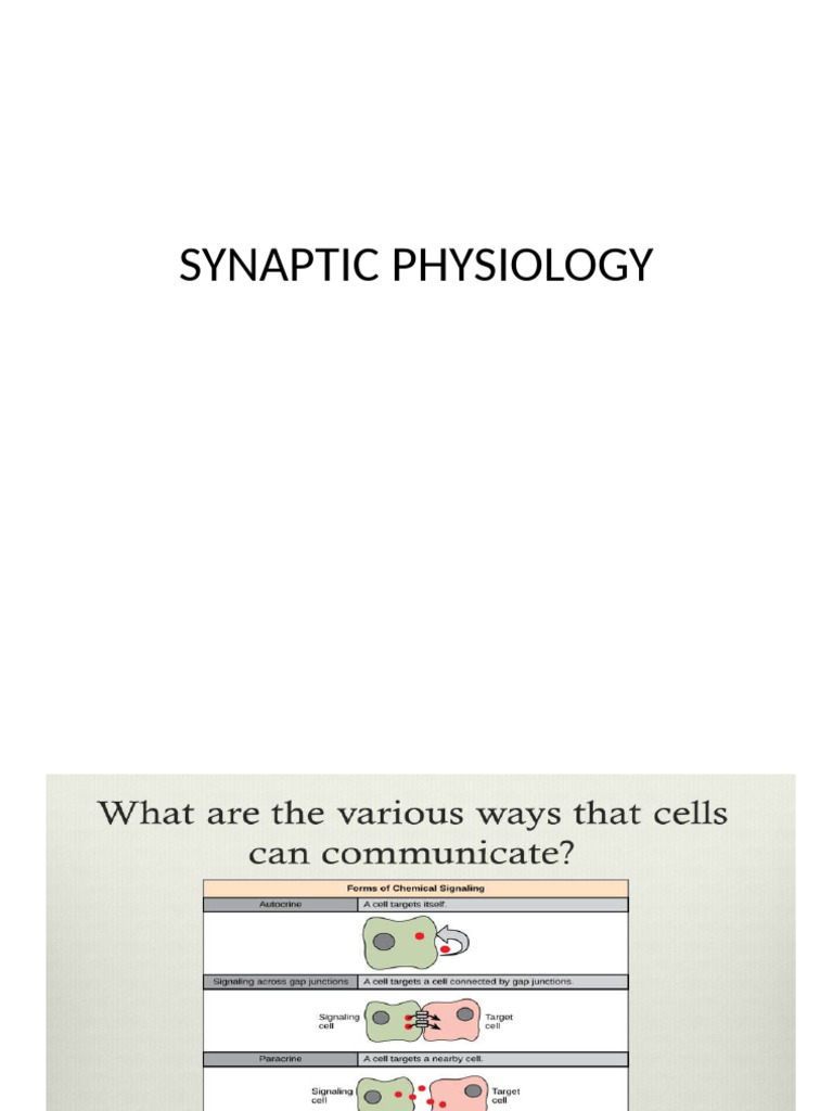 Synaptic Transmission | PDF | Inhibitory Postsynaptic Potential ...