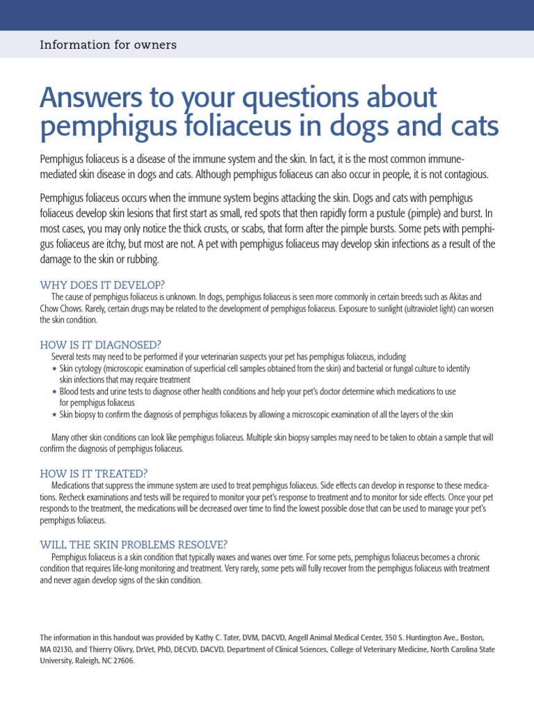 Answers To Your Questions About Pemphigus Foliaceus in Dogs and Cats ...