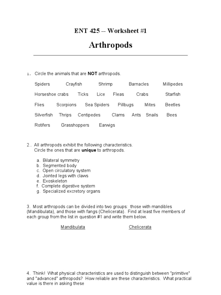 Arthropod Characteristics Worksheet | PDF | Insects | Predation