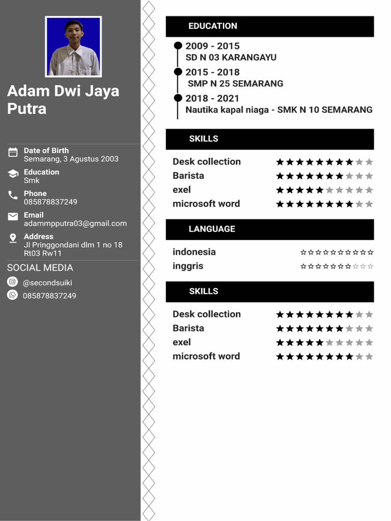 CV Terbaru | PDF