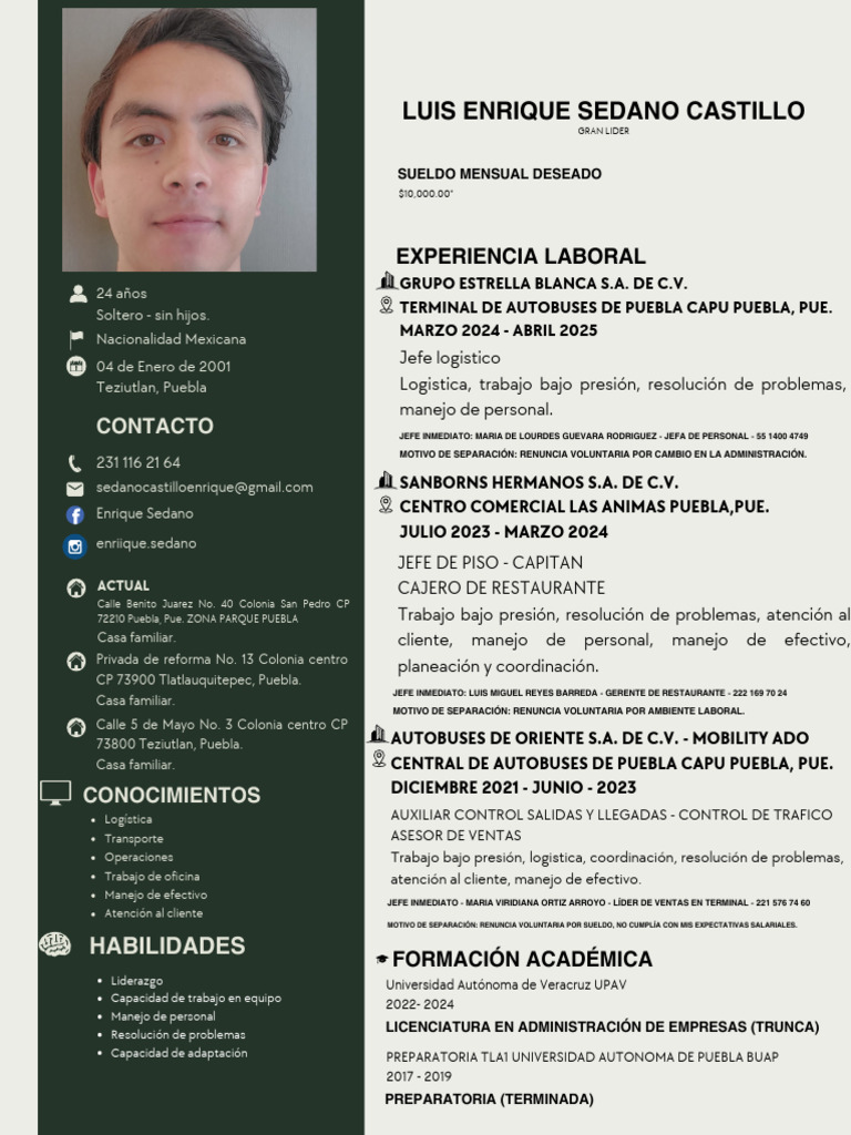 L Enrique Sedano Castillo CV 2025 | PDF