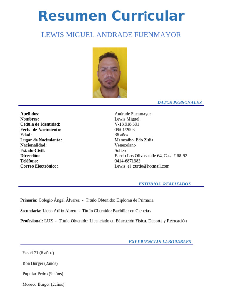 CV Lewis Andrade | PDF