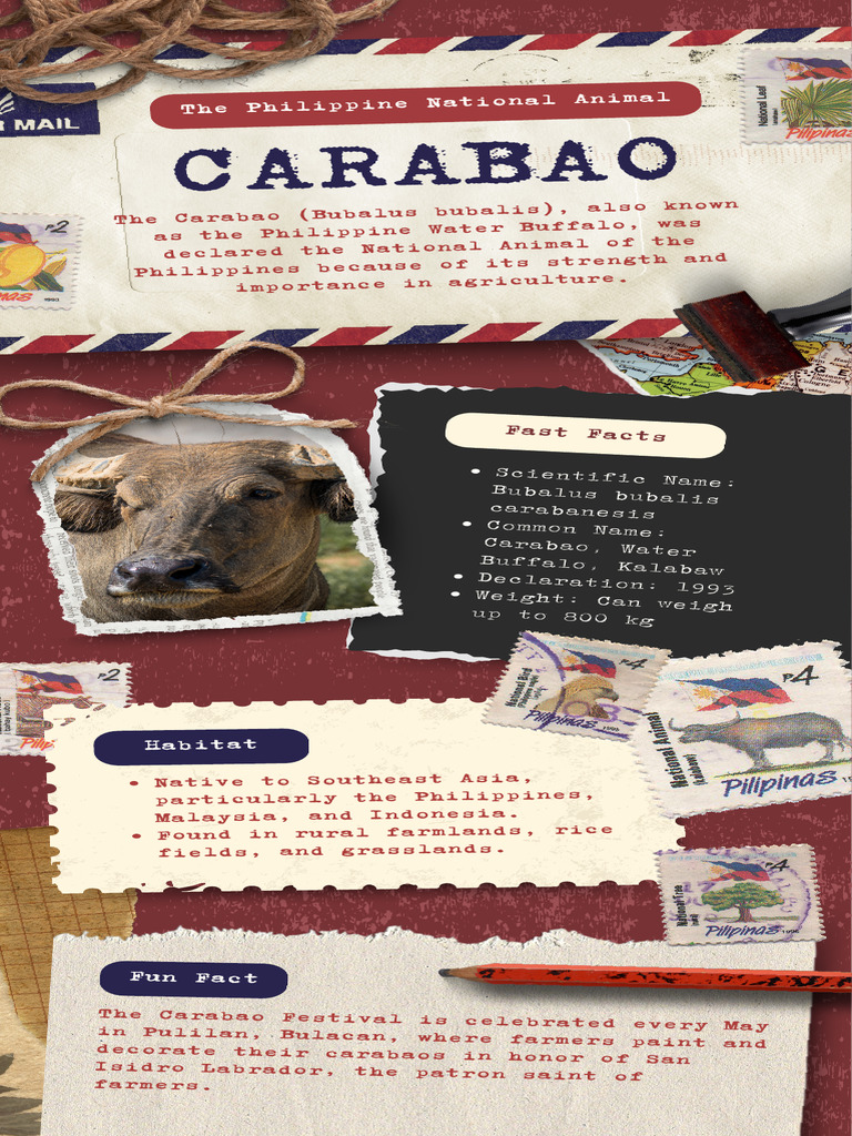The Philippine National Animal Educational Infographics in Red and ...