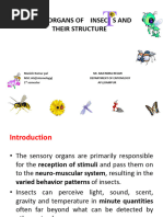 Types of Insect Antennae Explained | PDF