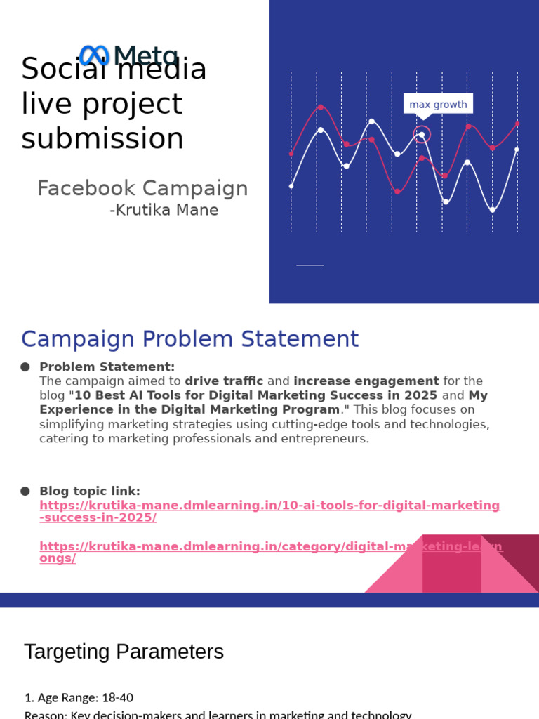 FB Campaigns Report-Krutika Mane | PDF