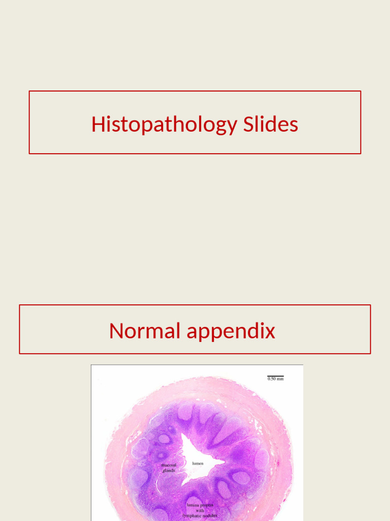 Histopathology Slides Updated 2015 | PDF