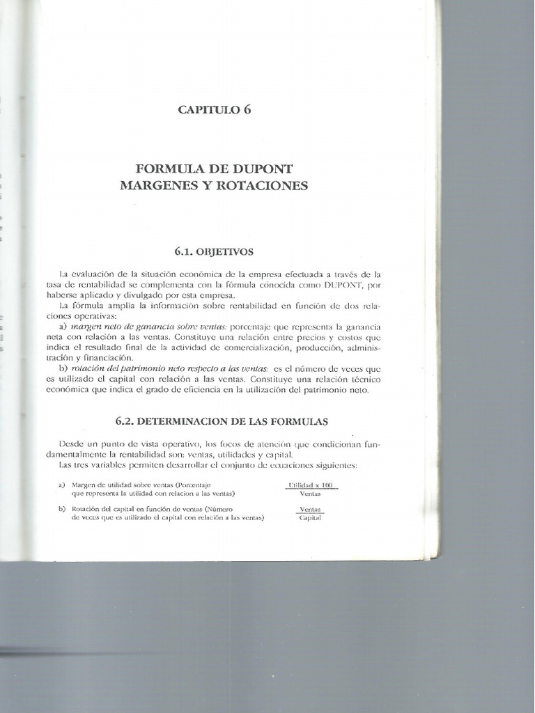 Analisis e Interpretacion de Los EECC Cap 6 | PDF