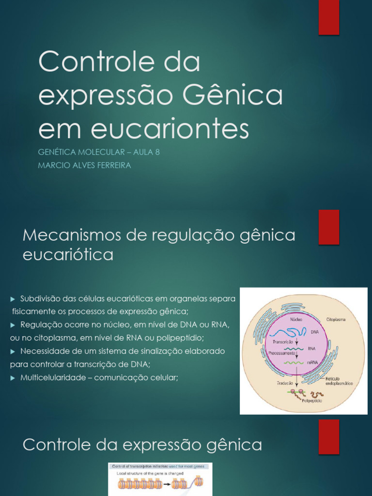 Aula 8 - Regulação Gênica - Controle Da Expressão Gênica em Eucariontes ...