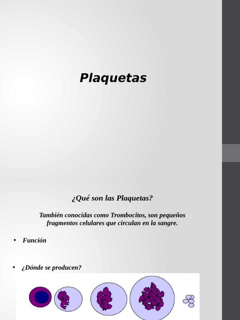 Plaquetas | PDF