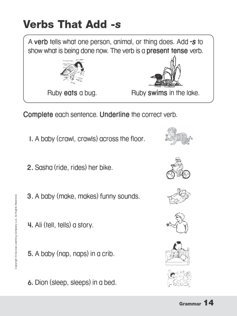 Grammar 14 Verbs That Add - S | PDF