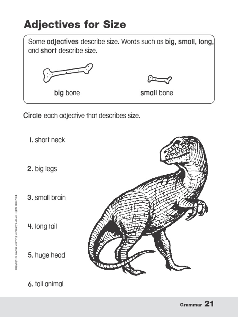 Grammar 21 Adjectives For Size | PDF