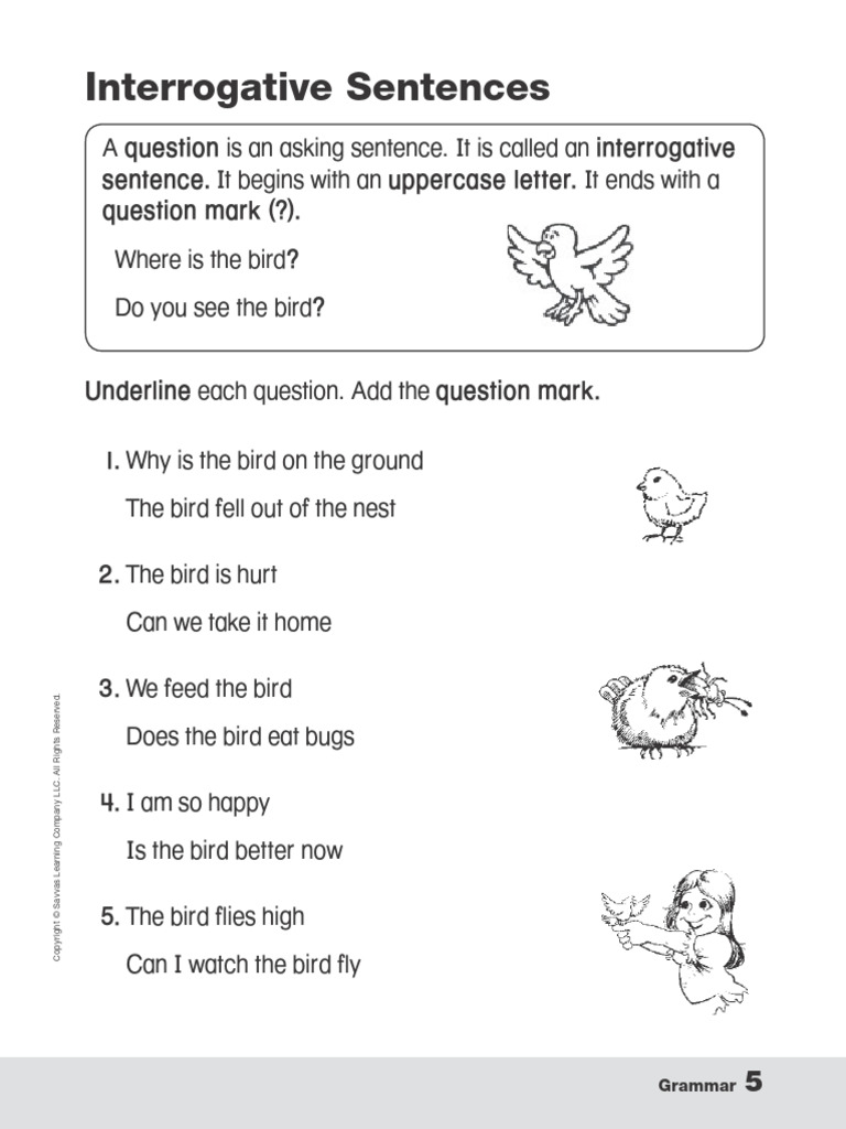 Grammar 5 Interrogative Sentences | PDF