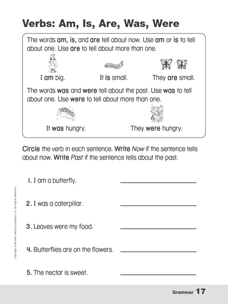 Understanding AM, IS, ARE, WAS, WERE Verbs | PDF