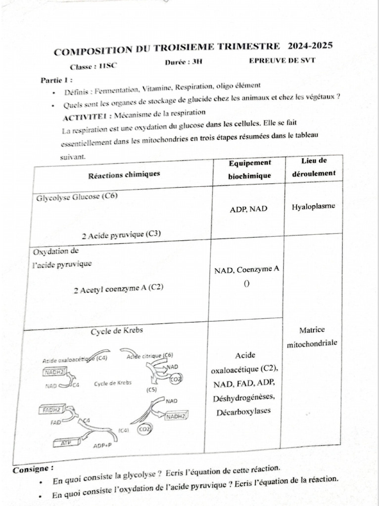 Compo 3eme Trimestre Maarif - SVT | PDF