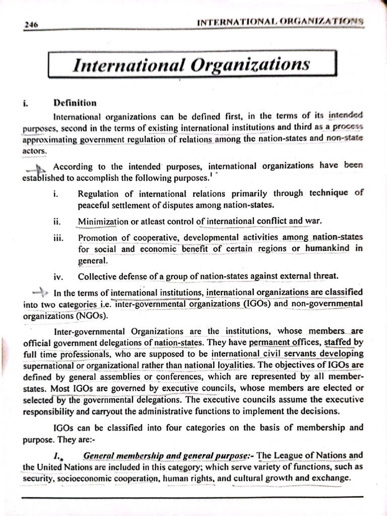 International Organizations | PDF