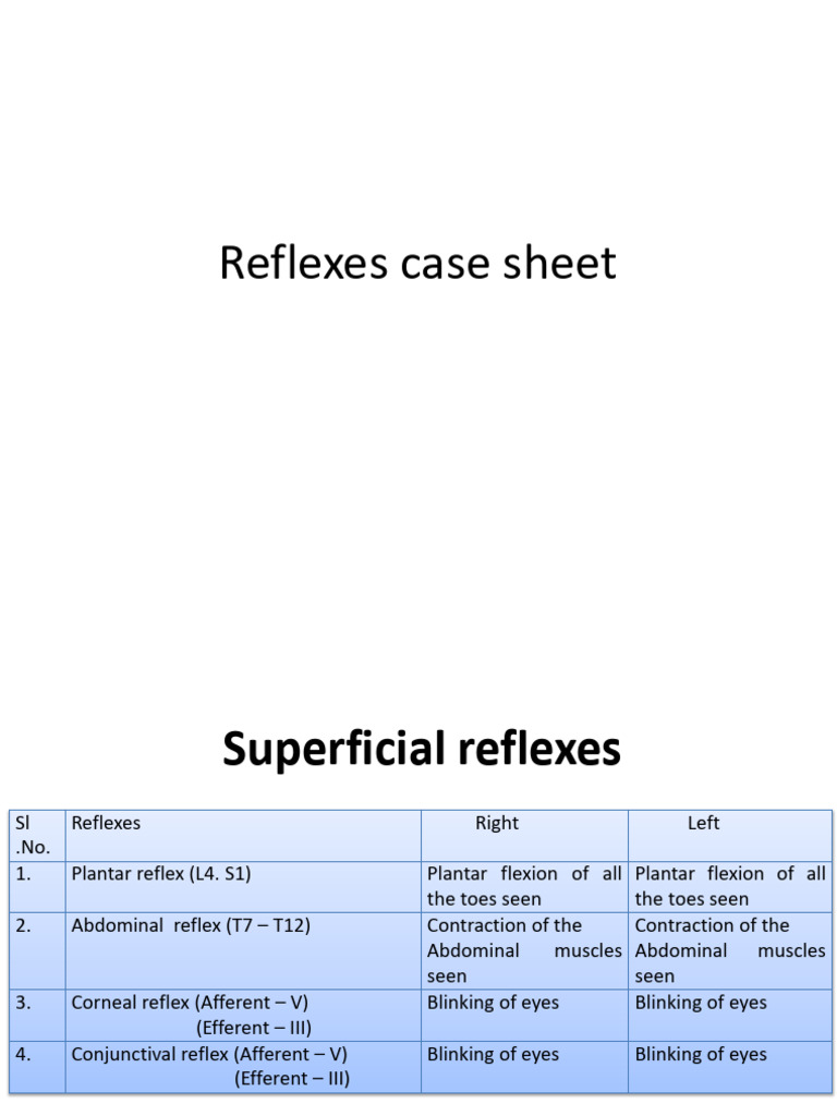 Superficial and Deep Reflexes Overview | PDF | Anatomical Terms Of ...