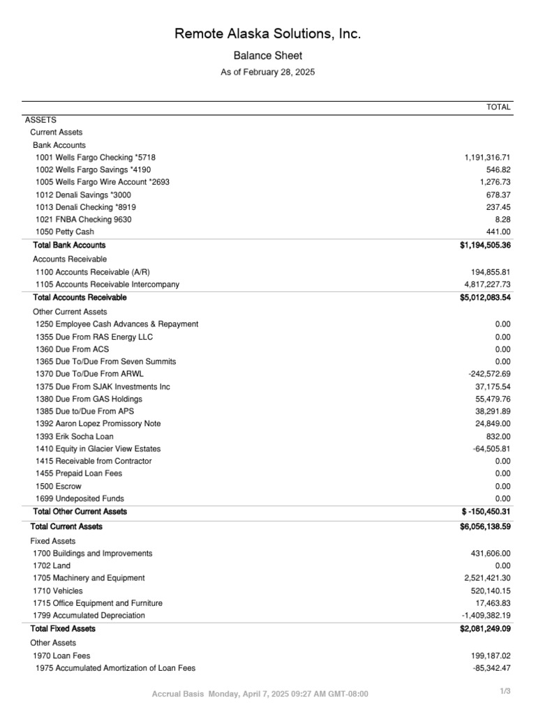 25.02.28 RAS Balance Sheet As of 25.04.07 | PDF | Equity (Finance ...