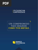 Instructivo Primer Ingreso Pichincha Empresas | PDF | Contraseña | Informática