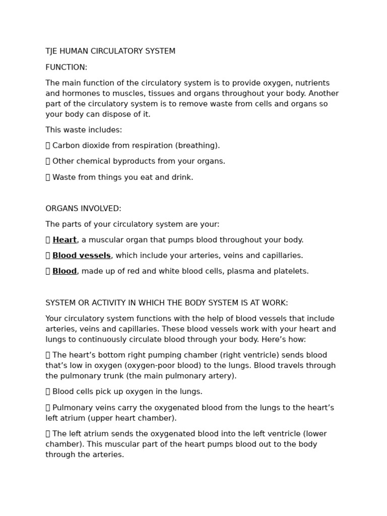 Circulatory System | PDF