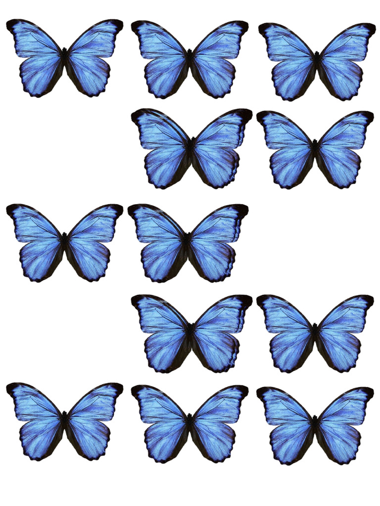 Butterfly | PDF