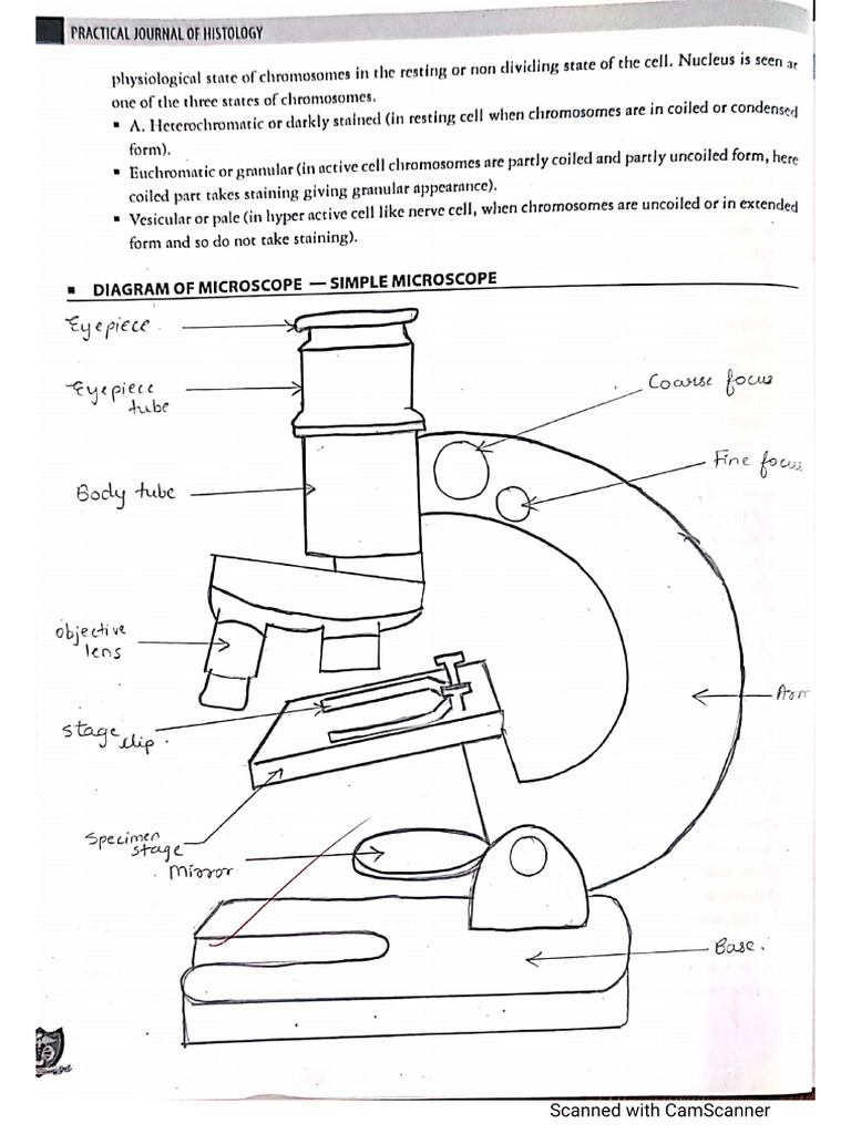 General Histology | PDF
