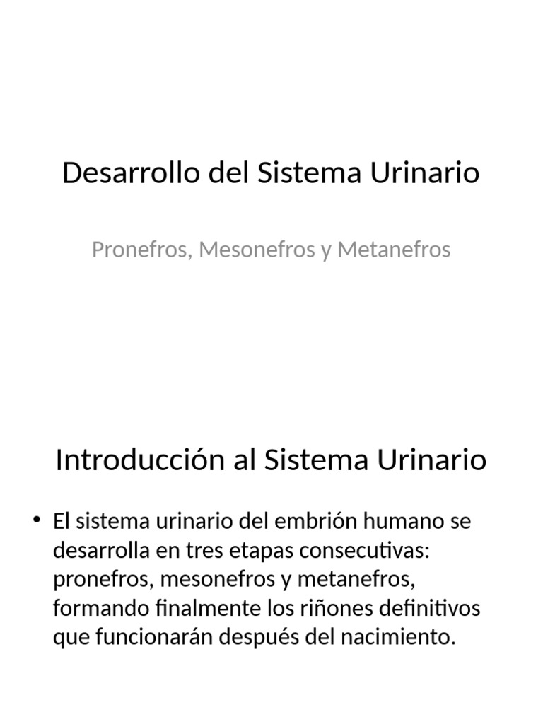 Desarrollo Sistema Urinario | PDF