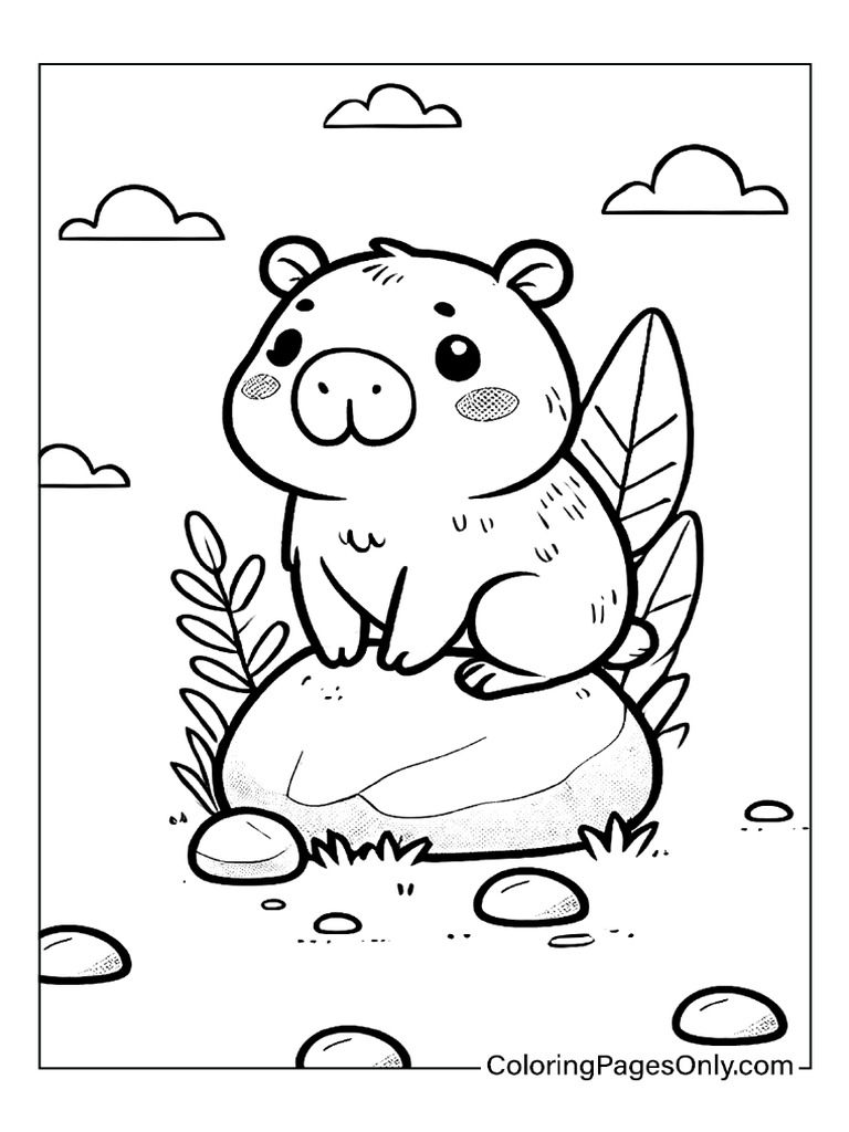 Capybara On The Rock | PDF