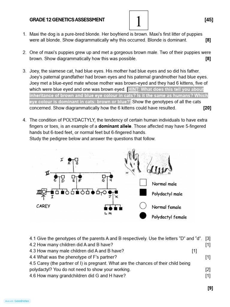 All Genetics Assessments in One Document (QP) | PDF | Genotype | Zygosity