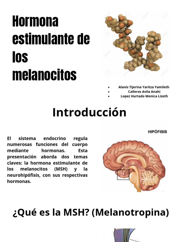 Hormona Estimulante de Los Melanocitos: Alanis Tijerina Yaritza ...