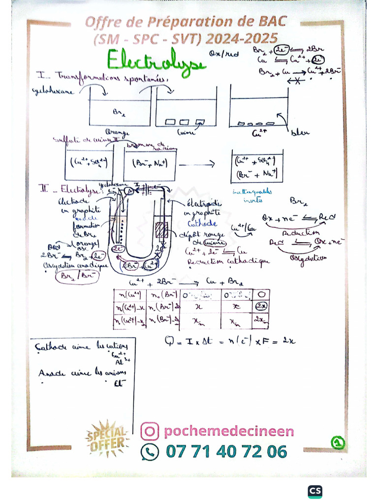 Cours Électrolyse by Medical Student | PDF