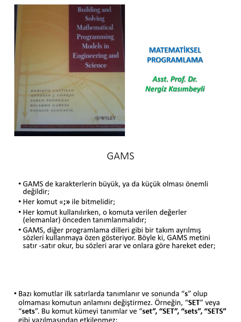 Matemati̇ksel Programlama | PDF