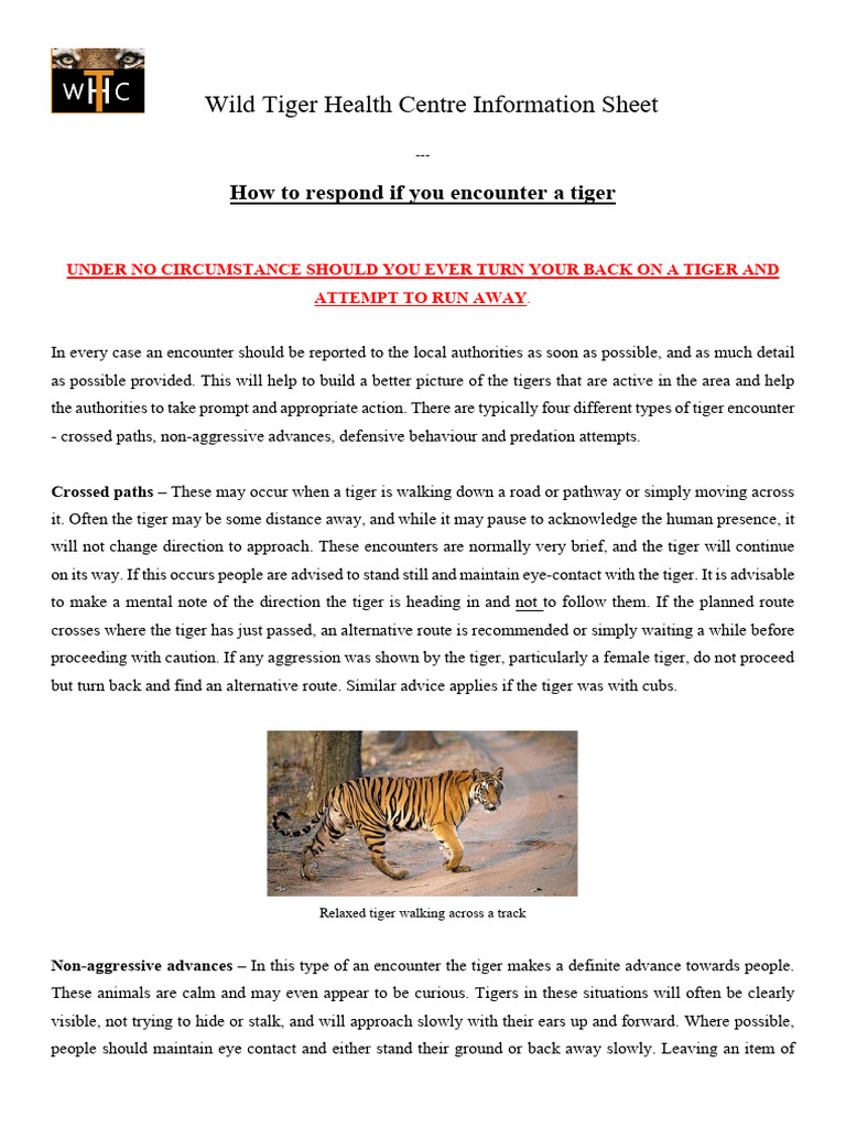 Tiger Encounter Safety Guidelines | PDF | Tiger | Zoology