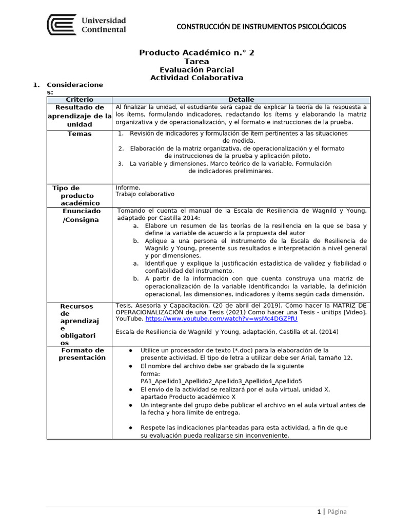 Construcción de Instrumentos Psicológicos-Pa2 | PDF