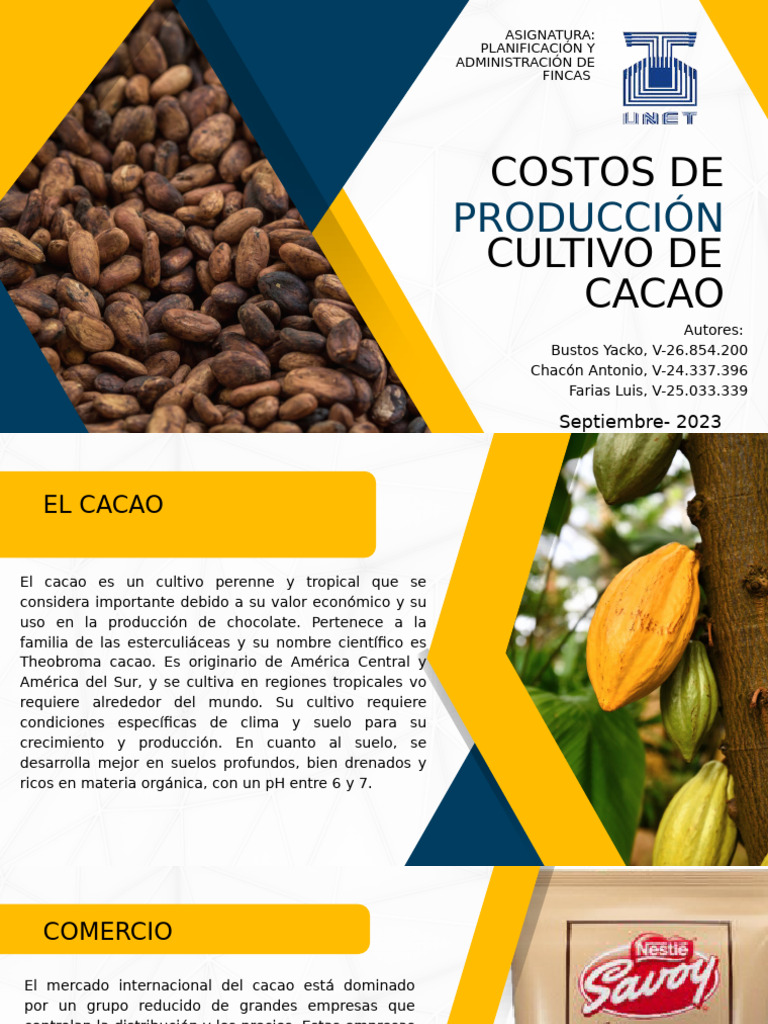 Diapositivas Cacao - 20230913 - 073701 - 0000 | PDF