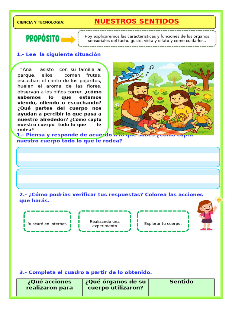 FICHA CT LOS SENTIDOS | PDF | Gusto | Sentidos