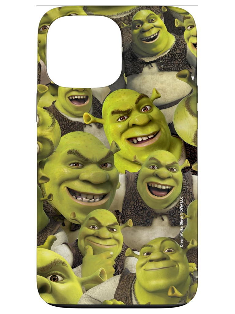 Shrek Case | PDF