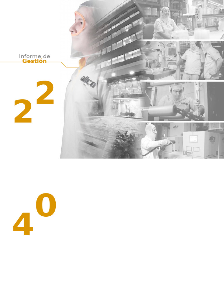 Informe de Gestion 2024 | PDF | Sustentabilidad | Desarrollo sostenible